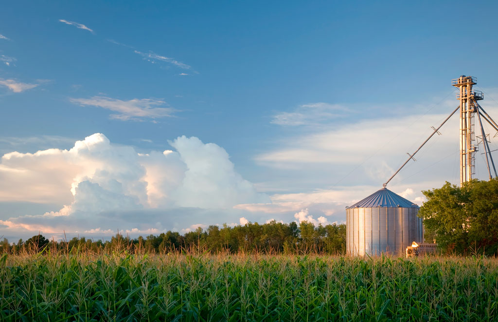 Home - County Line Equipment