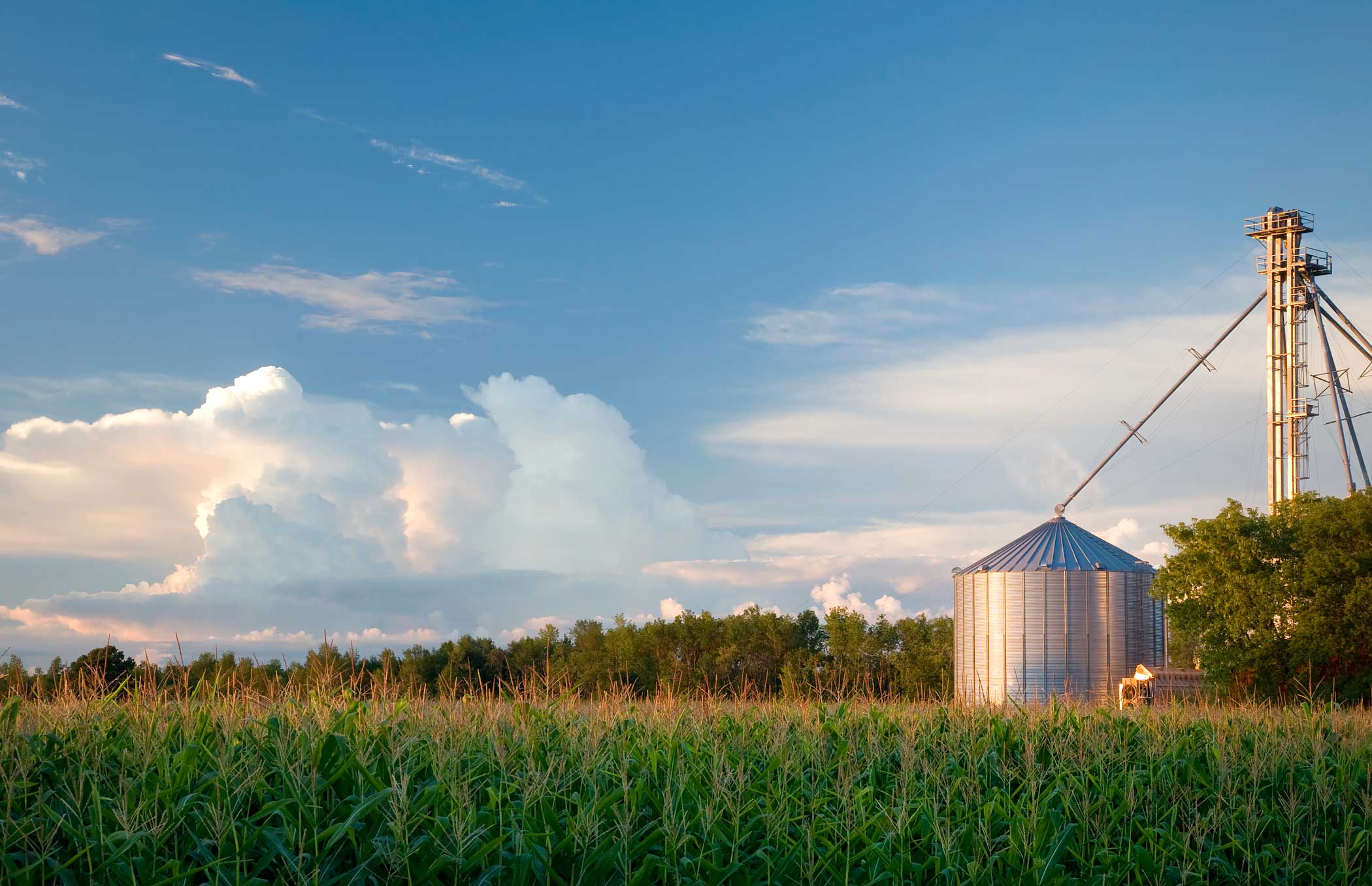 Home - County Line Equipment