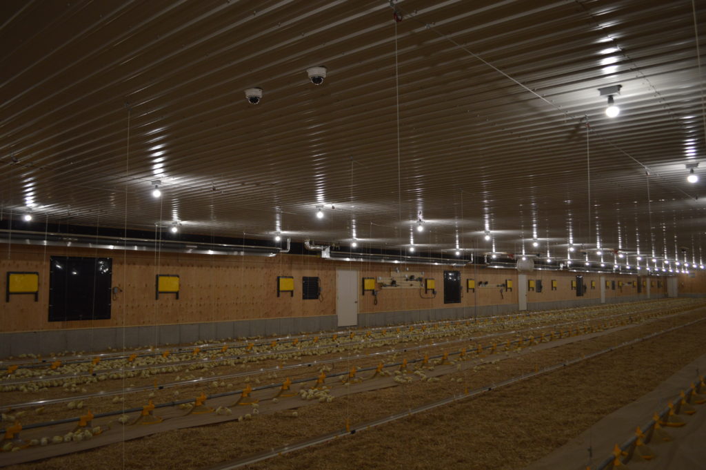 New Broiler Barn - County Line Equipment