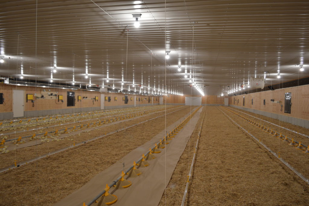 New Broiler Barn - County Line Equipment