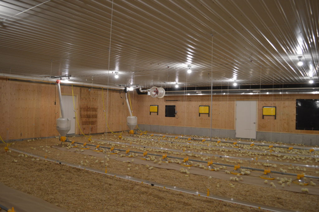 New Broiler Barn - County Line Equipment