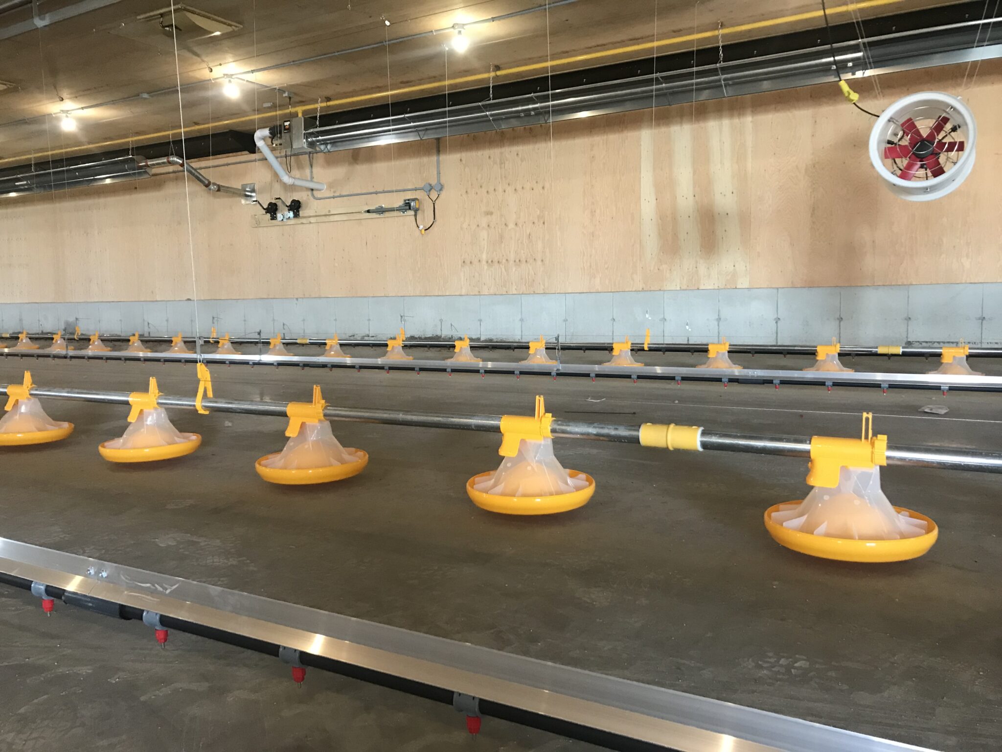 65' x 500' Single Storey Broiler Barn - County Line Equipment