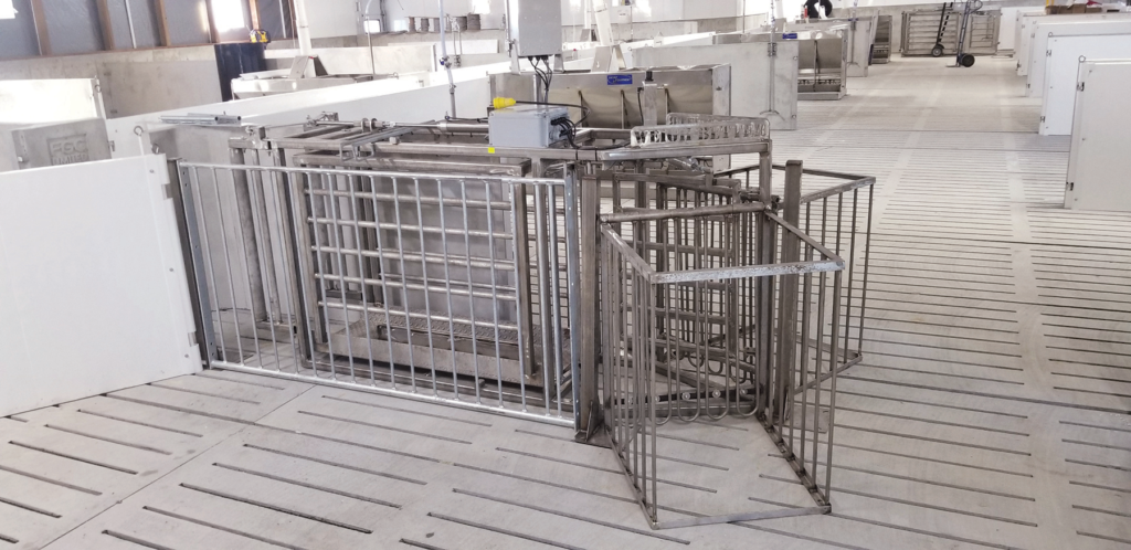 Hog Sorter - County Line Equipment