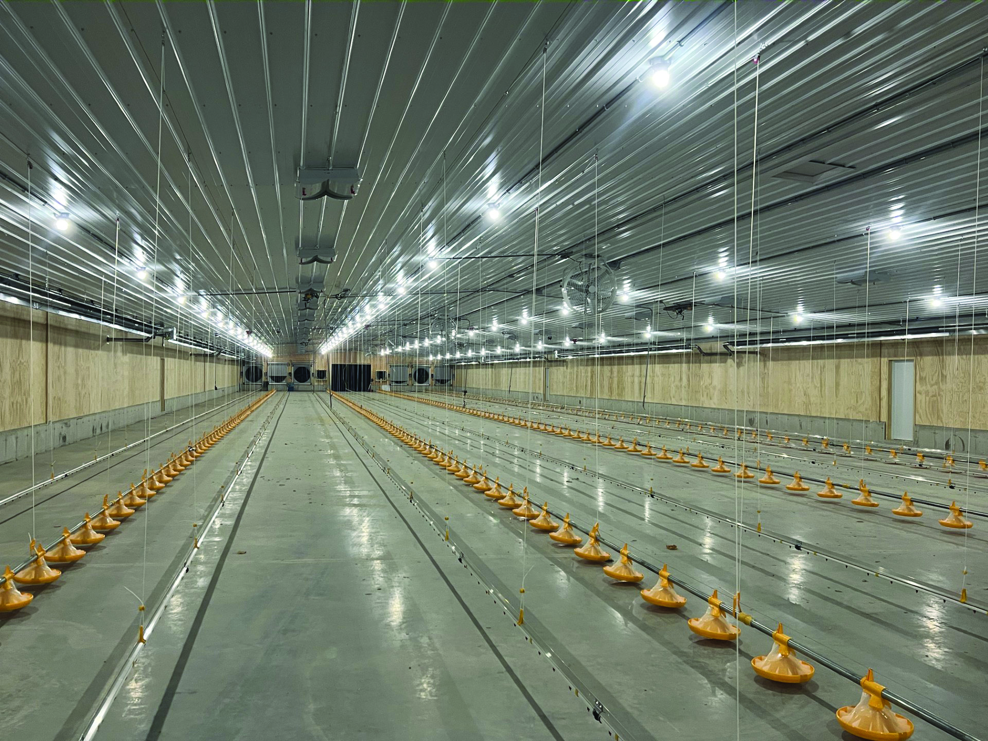 Springdale Farms Poultry Ltd - County Line Equipment